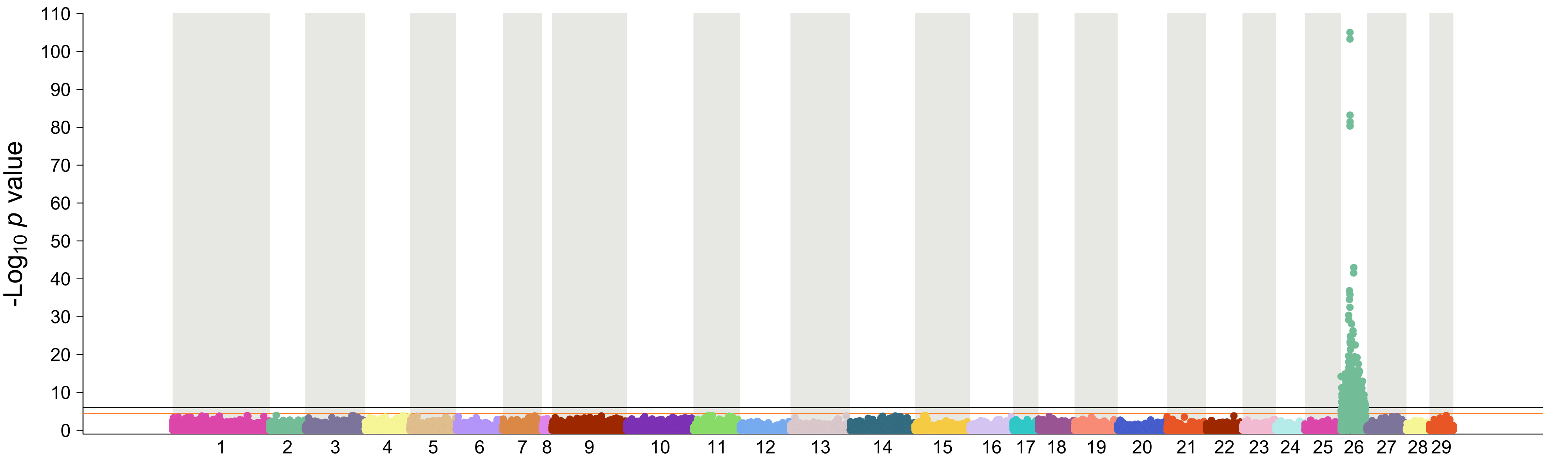 Infectious Pancreatic Necrosis (IPN) - Benchmark Genetics