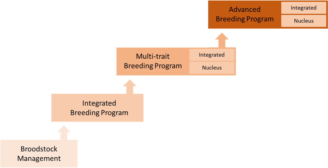 Breeding program design - Benchmark Genetics