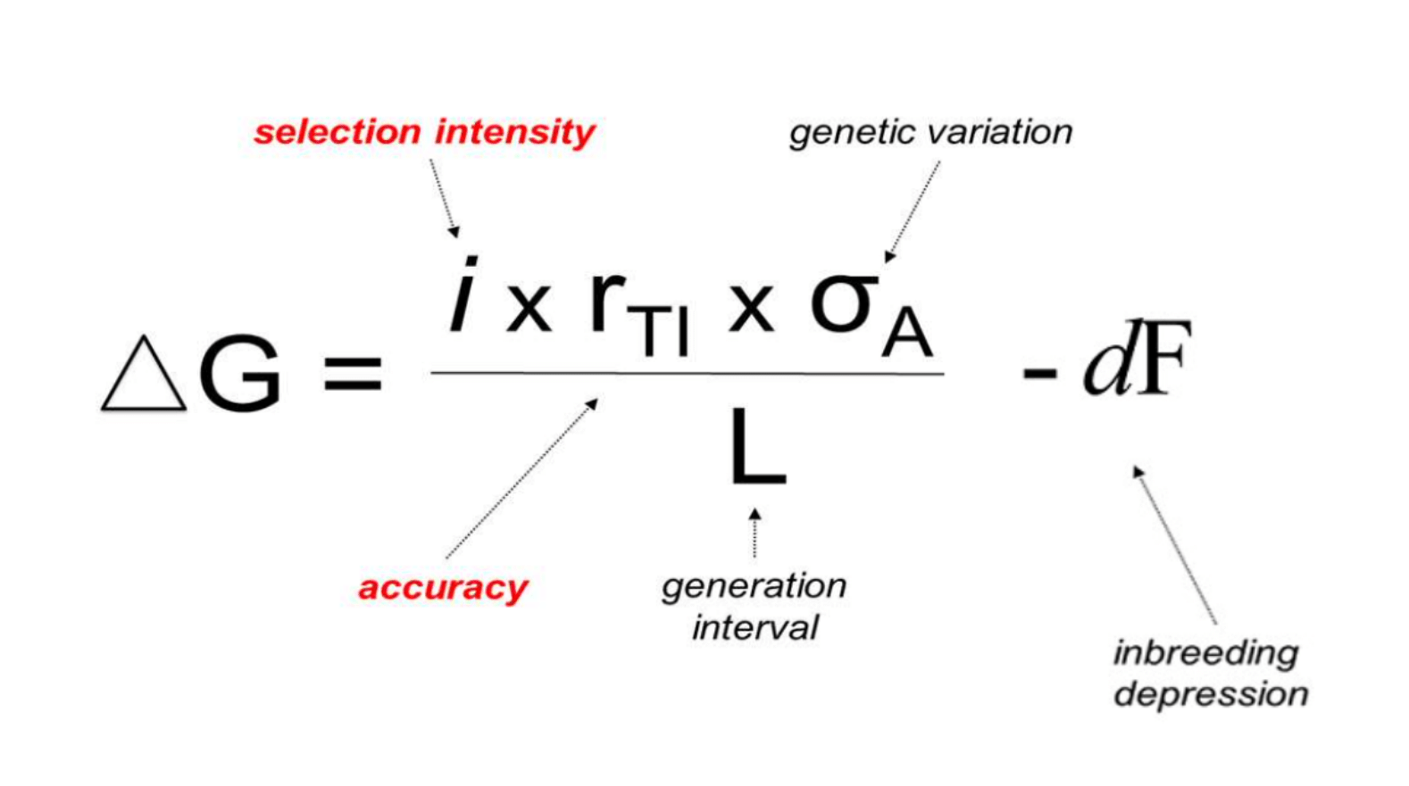 El potencial de ganancia genética en su programa - Benchmark Genetics