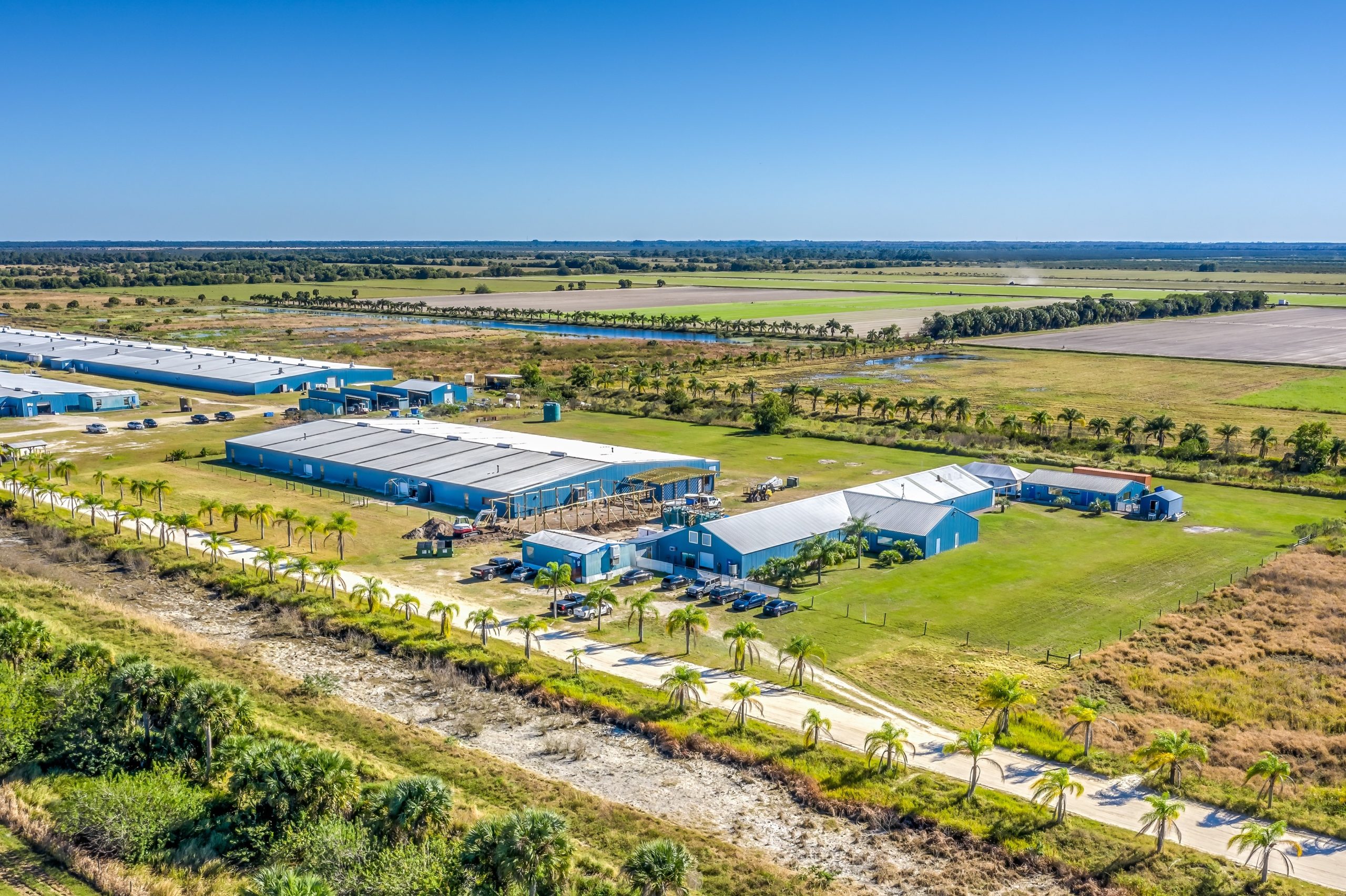 The Benchmark Genetics Fellsmere Team - Benchmark Genetics