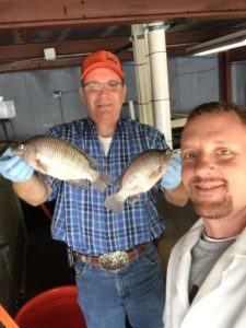 Benchmark Genetics - Driving sustainability in aquaculture
