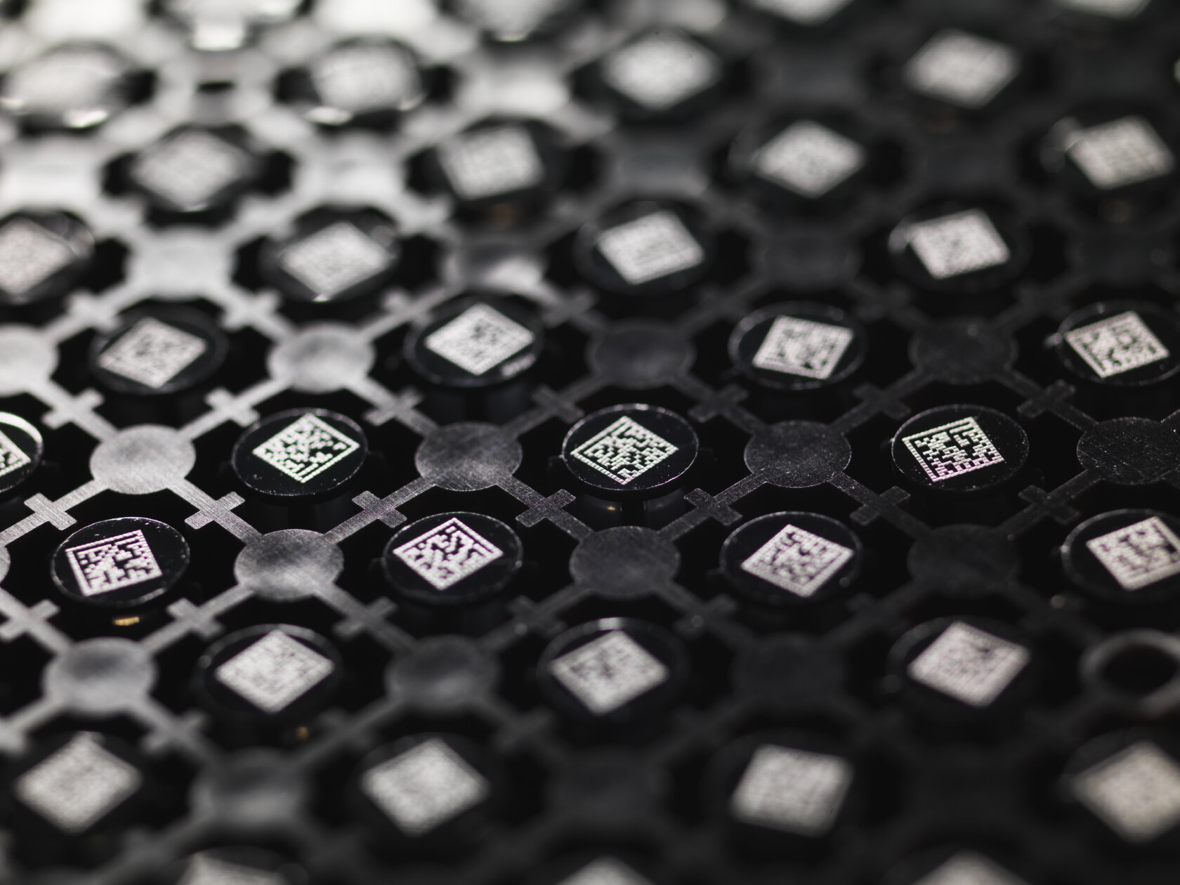 Genotyping Services - Benchmark Genetics - Breeding for the future